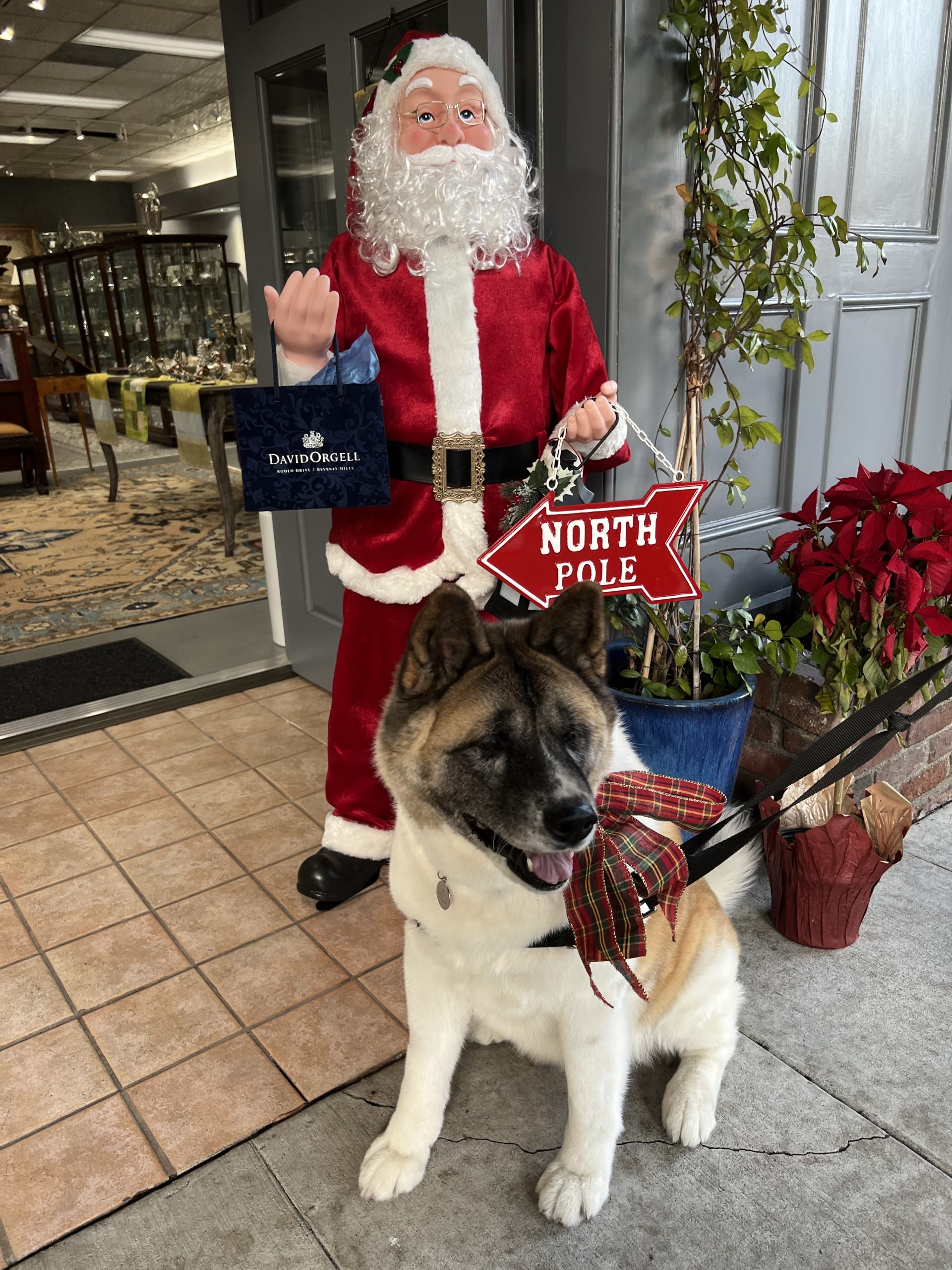 Home - Live Joyfully with Nan Rae