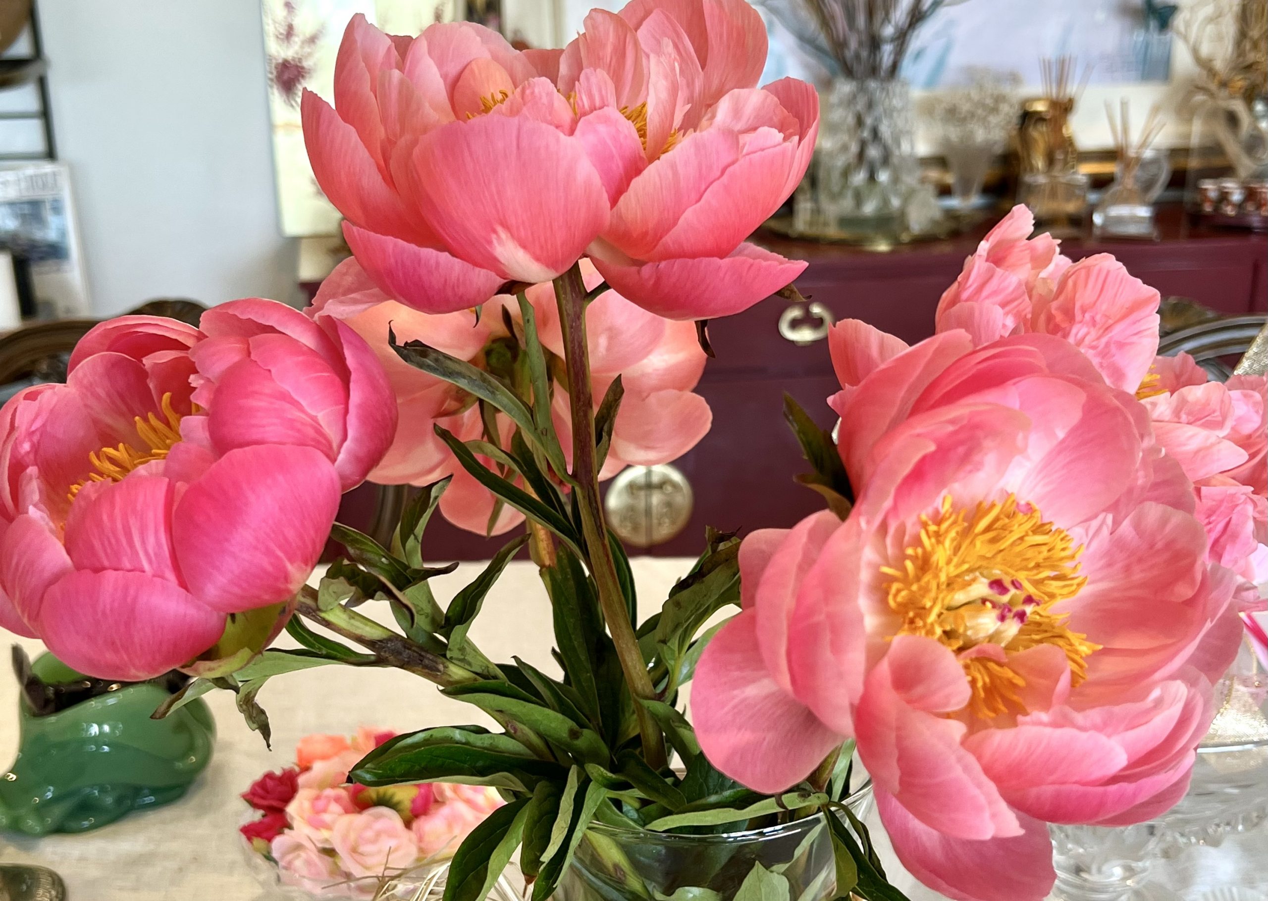 Home - Live Joyfully with Nan Rae