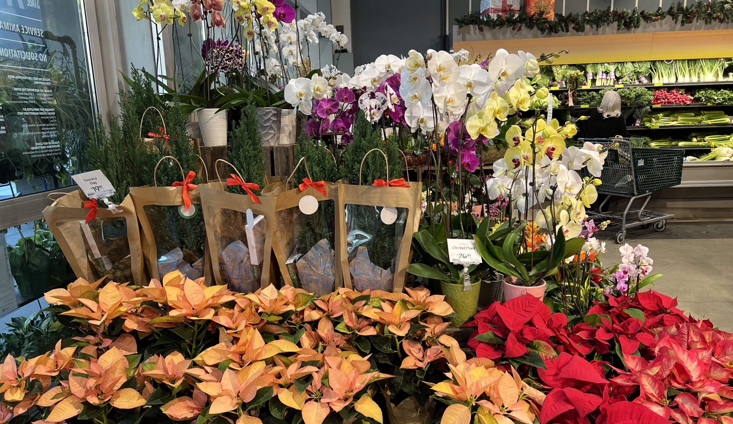 MARCHING TOWARDS THANKSGIVING... - Live Joyfully with Nan Rae