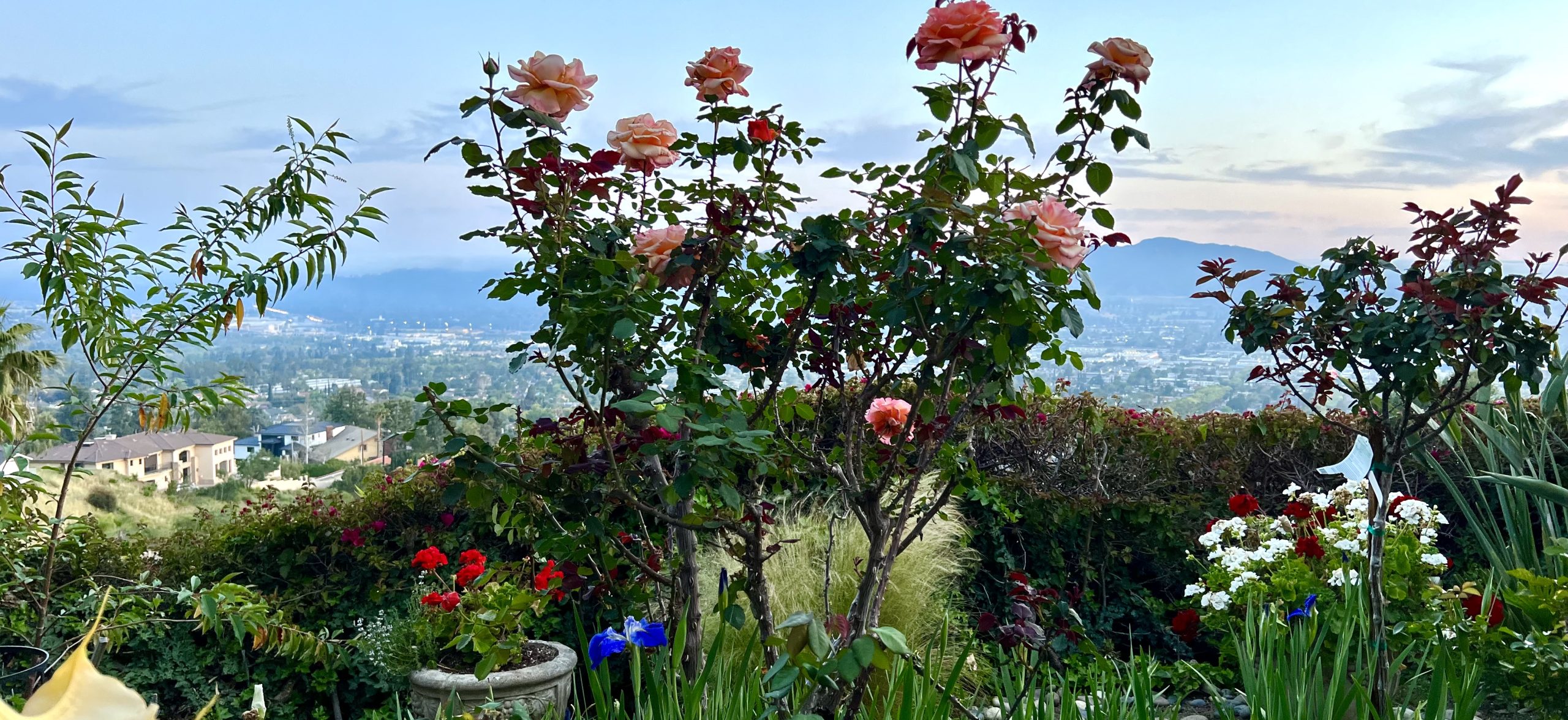 THE MOST BEAUTIFUL DAY - Live Joyfully with Nan Rae