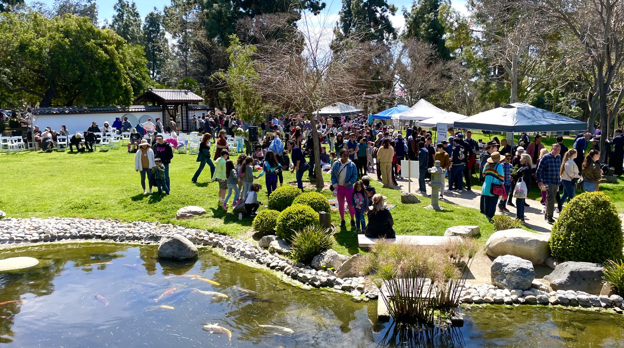 A MAGICAL DAY - Live Joyfully with Nan Rae