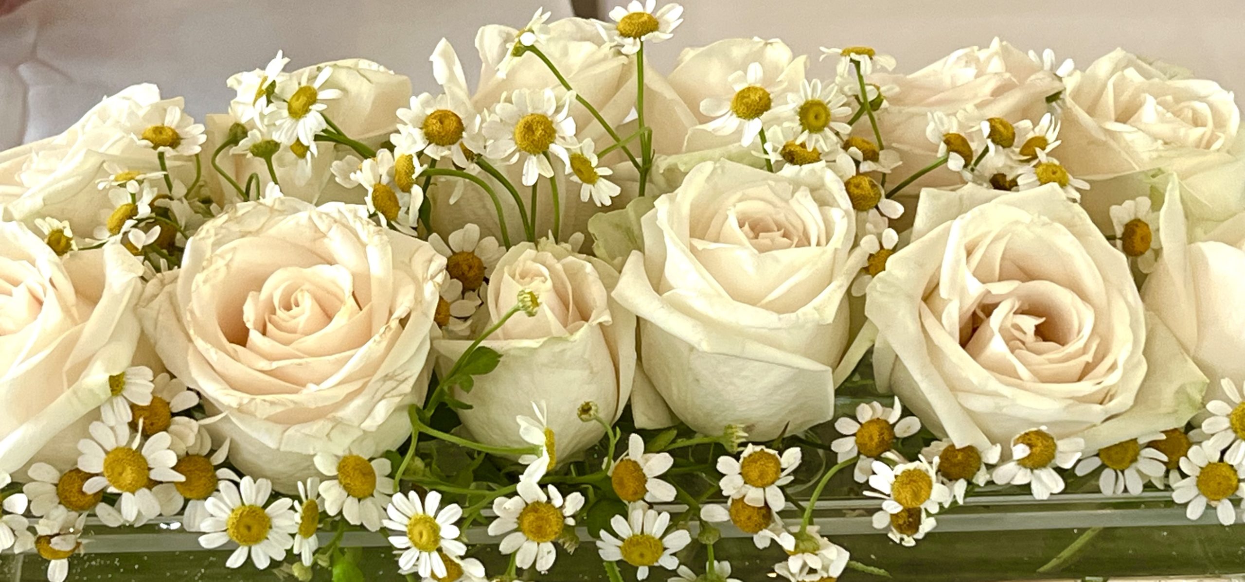 REMEMBERING PRECIOUS KC CAMP - Live Joyfully with Nan Rae